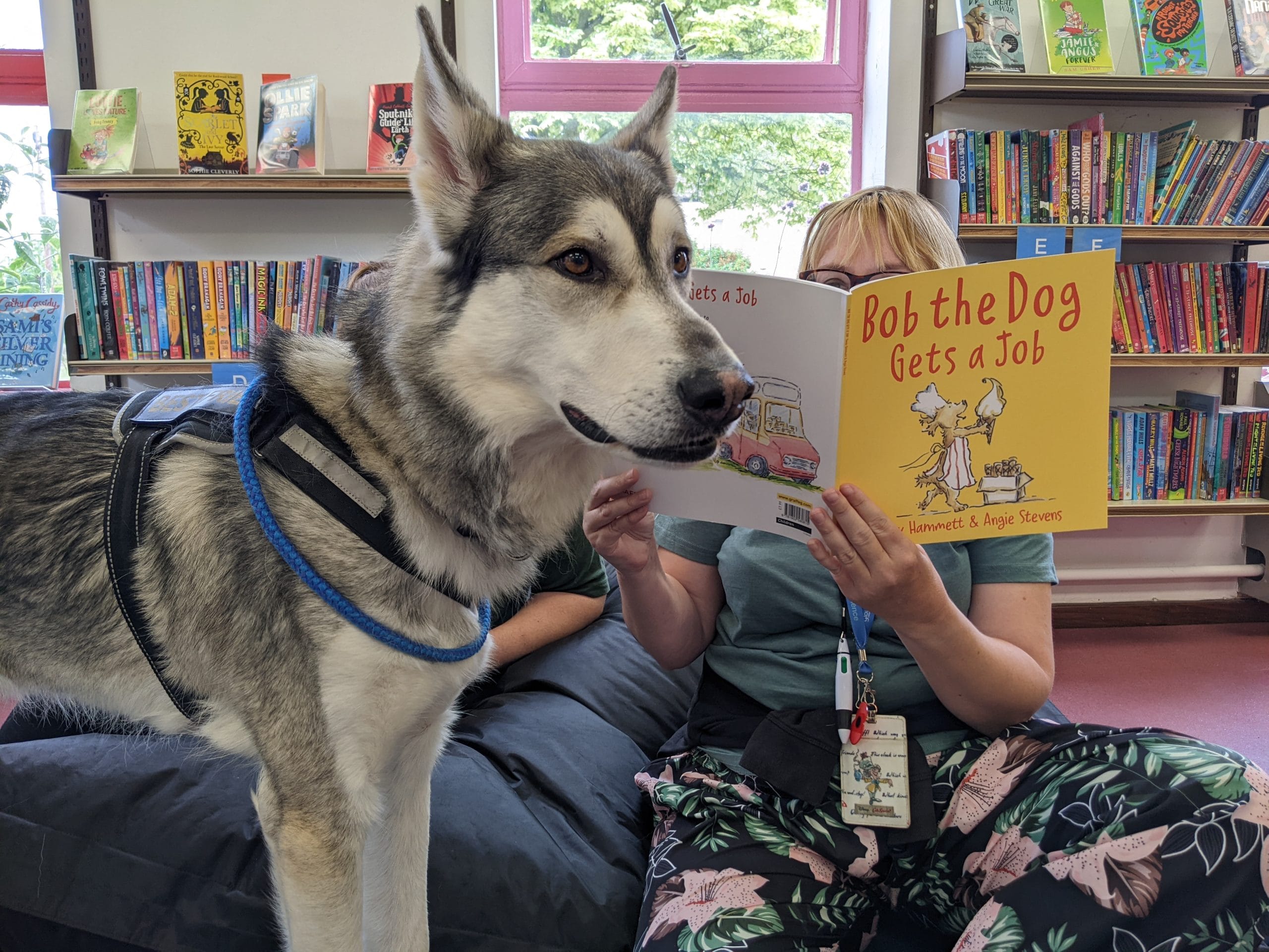 PAWS for Reading | Cheltenham Animal Shelter
